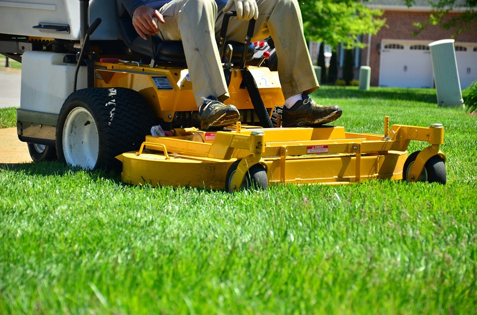 Lawn Maintenance Innovations You May Not Have Heard of Yet - A DIY Projects