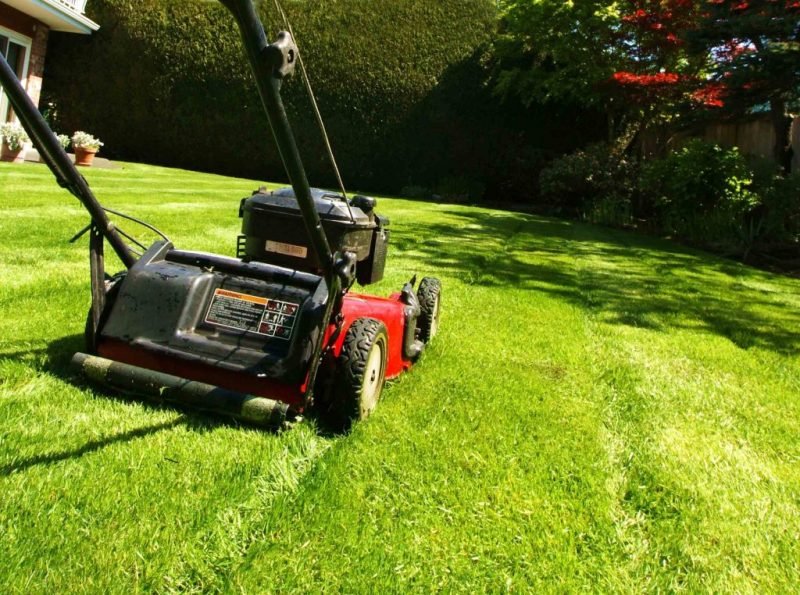 10 DIY Lawn Care and Maintenance Tips for Moms - A DIY Projects